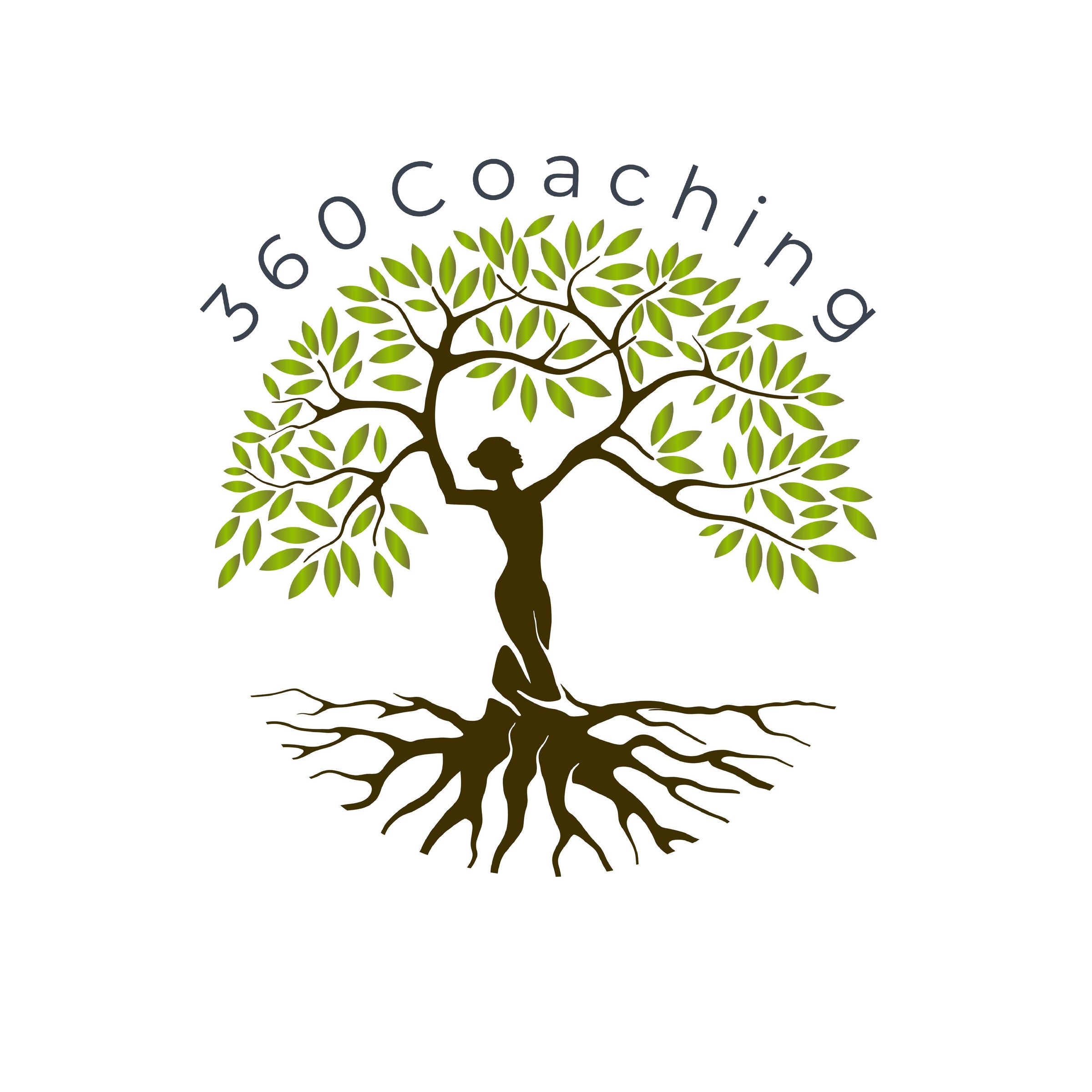 360 Coaching logo